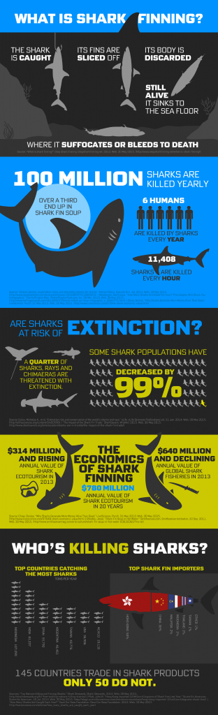 Infographic: What is Shark Finning? - Baker & Hill